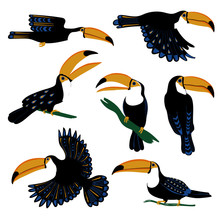 Toucan Jungle Art Print Free Stock Photo - Public Domain Pictures