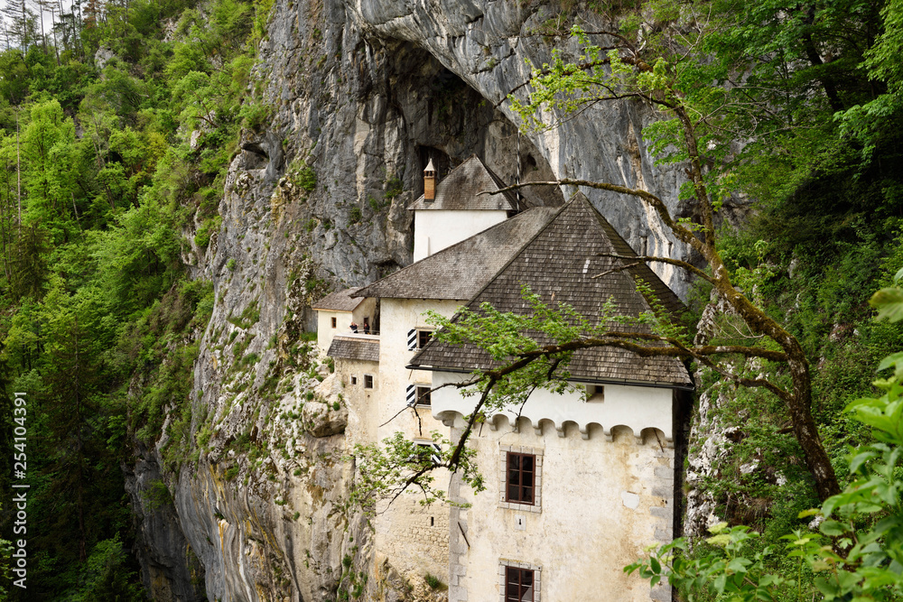 Trees clinging to cliff face at Predjama Castle 1570 Renaissance ...