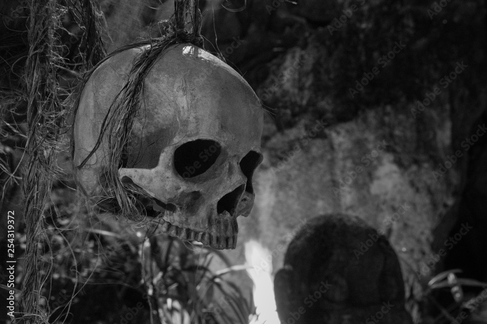 Human scull hanging on rope black and white. Death symbol. Fear and ...