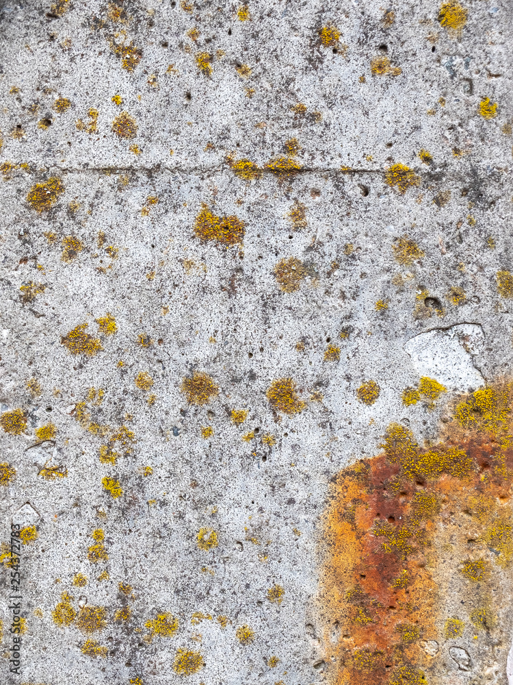 Texture of old reinforced concrete surface with rust and moss. Armored ...
