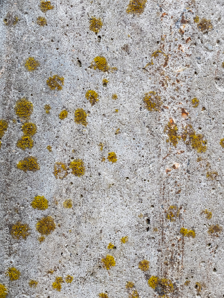 Stockfotot Texture of old reinforced concrete surface with rust and ...