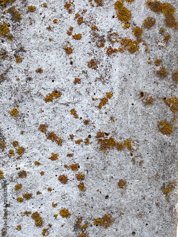 Texture of old reinforced concrete surface with rust and moss. Armored ...