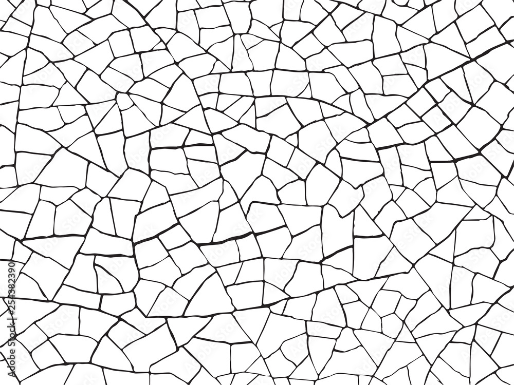 The cracks texture white and black. Vector background.Cracked earth ...