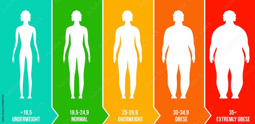 Creative vector illustration of bmi, body mass index infographic chart ...