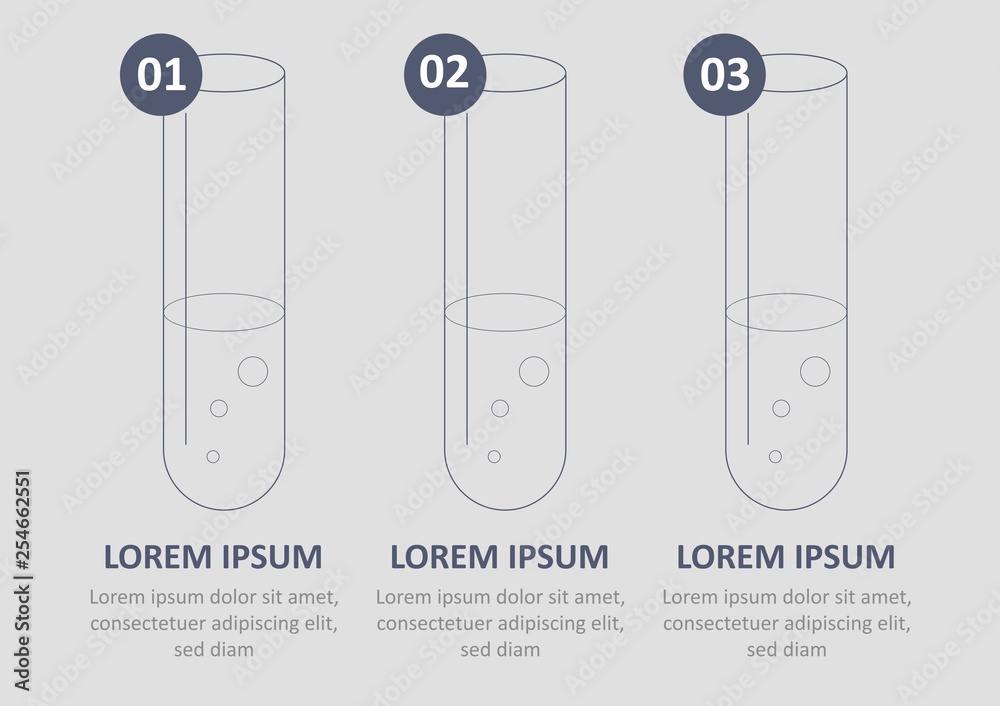 Minimal infographic brochure template. Pages with diagram, graph and ...