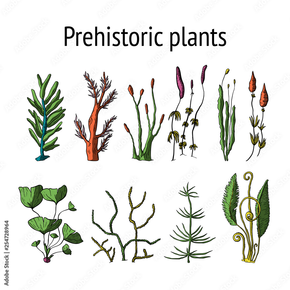 Prehistoric vector plants. Stock Vector | Adobe Stock