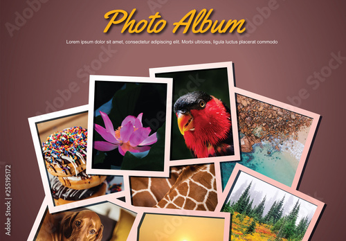 Overlapping Photo Collage Layout Stock Template | Adobe Stock