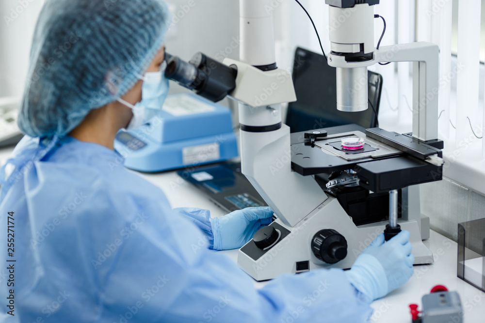 Light microscope. Examination of fixed poducts their influence on ...