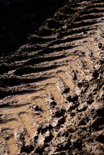 Imprints In Muddy Sludge Free Stock Photo - Public Domain Pictures