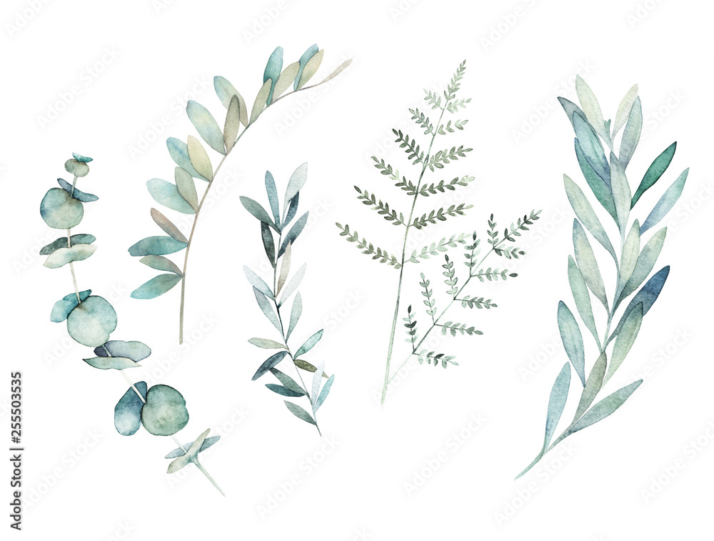 Watercolor greenery set. Hand drawn winter illustration with eucalyptus ...