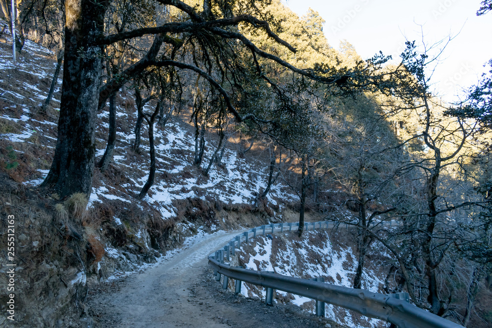 Shivalik Range of the Himalayas, Narkanda Valley, Himachal Pradesh- a ...