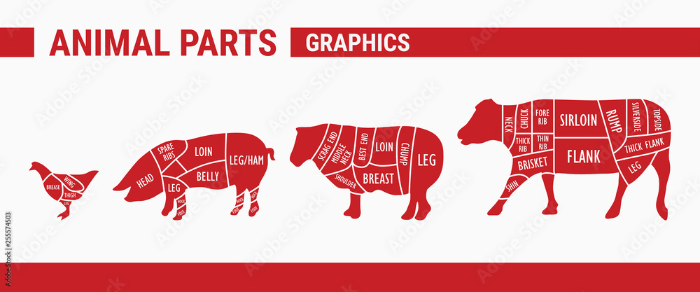 Meat cuts - Vector set a schematic illustrations of animals for butcher ...