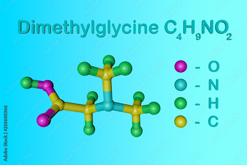 Molecular structure of dimethylglycine. Atoms are represented as ...