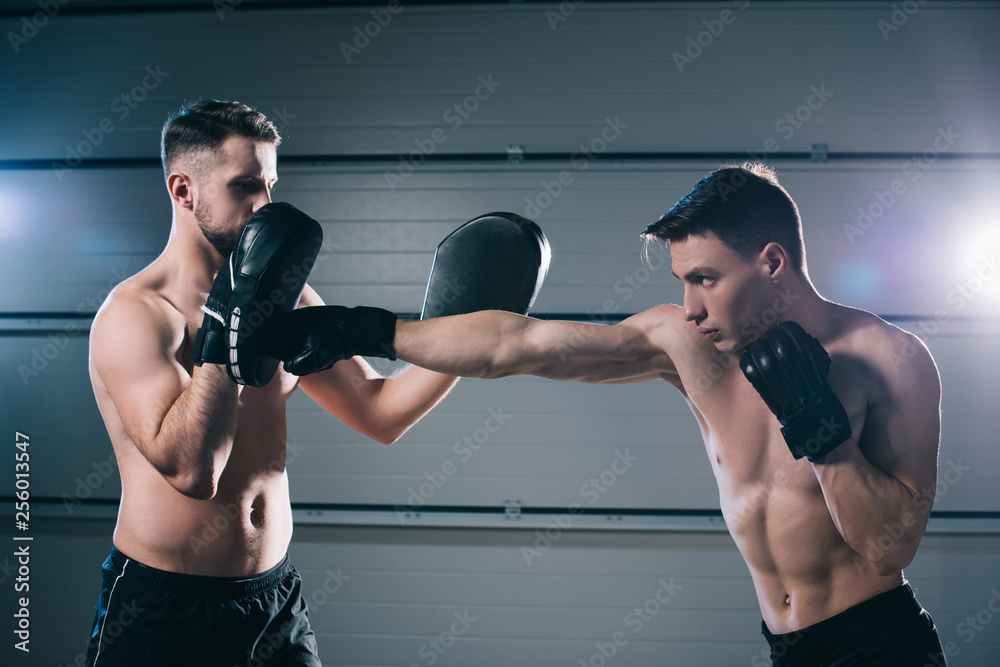 athletic muscular shirtless mma fighter practicing punch with another ...