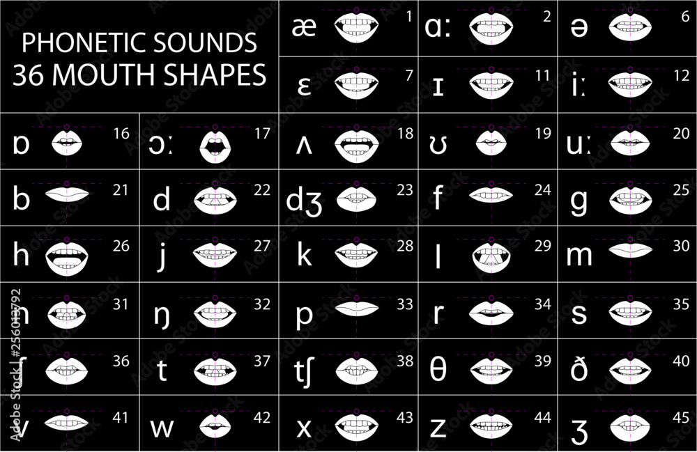 Phonetic sounds - 36 mouth shapes - english Stock Vector | Adobe Stock