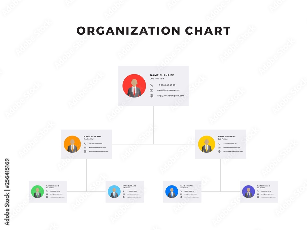 organizational structure of the company. business hierarchy infographic ...
