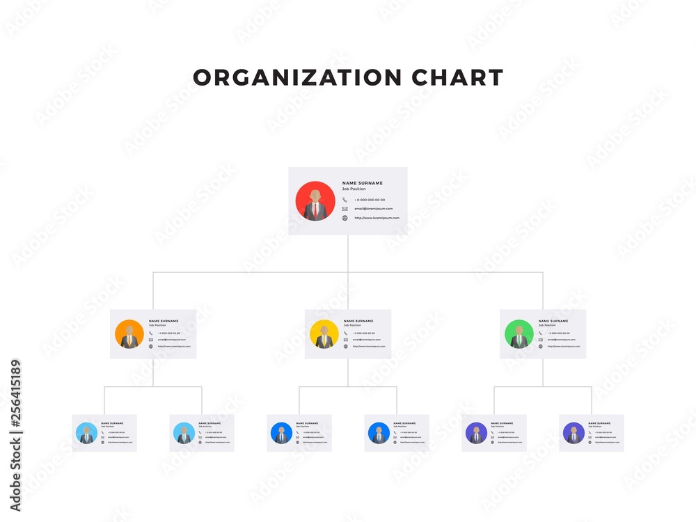 organizational structure of the company. business hierarchy infographic ...