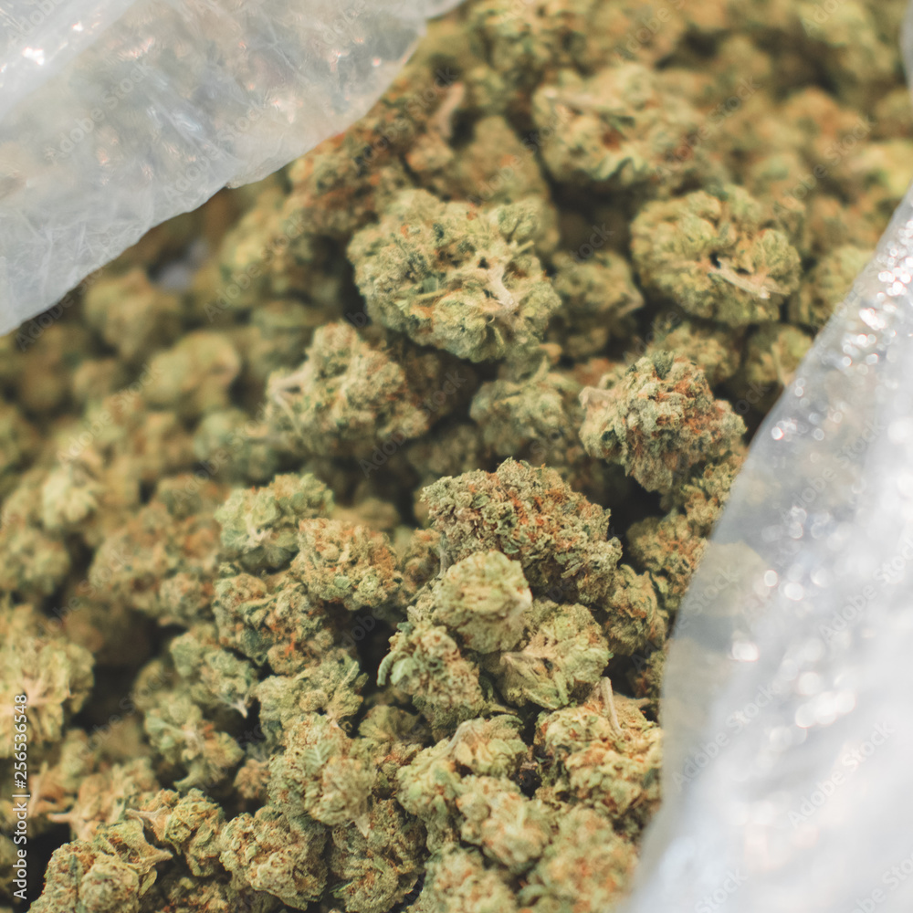 Pounds of Cannabis Stock Photo | Adobe Stock