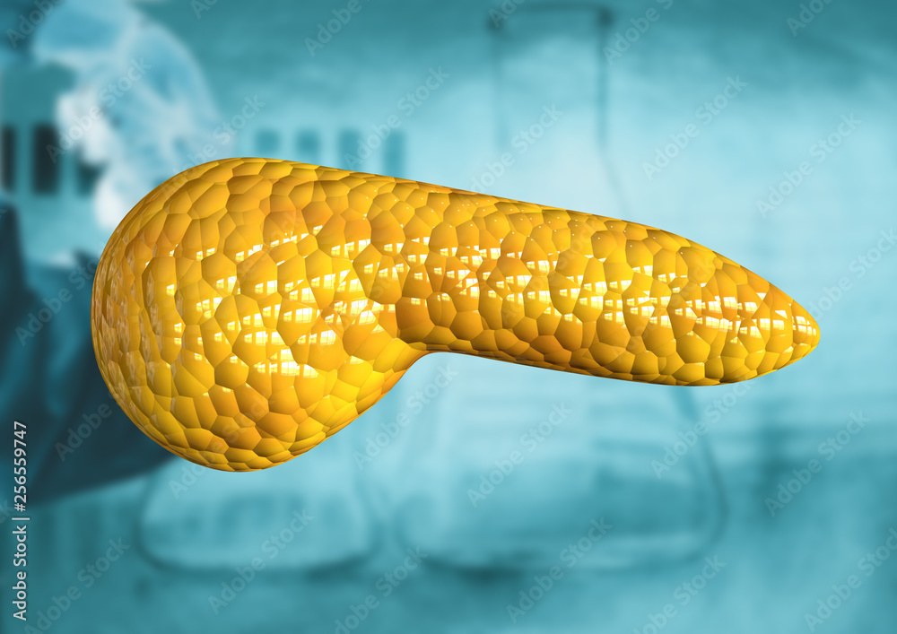 pancreas, human body organ isolated on scientific background Stock ...
