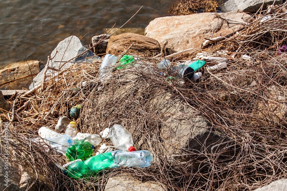 Plastic waste on the lake shore in the Czech Republic. Environmental ...