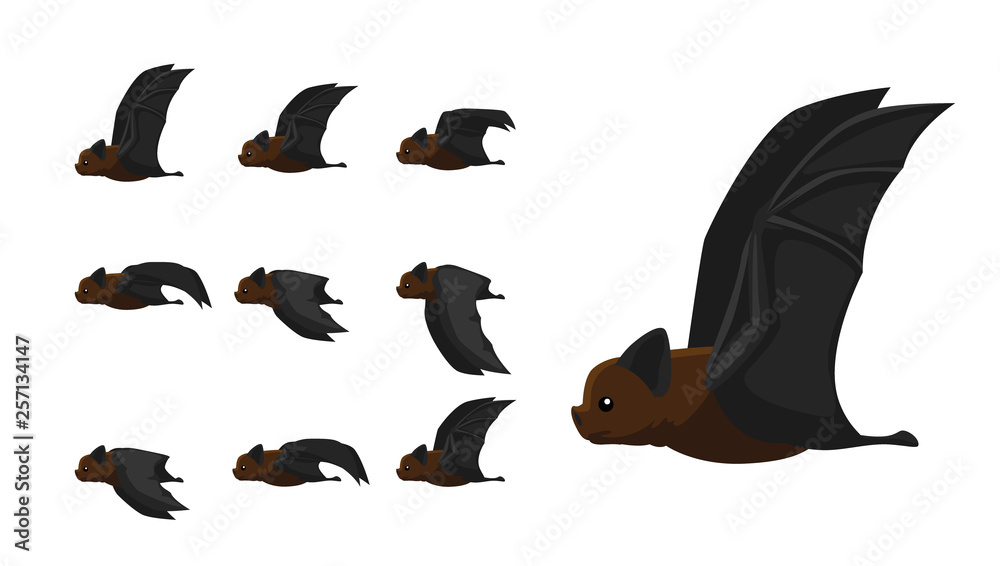 Bat Flying Motion Sequence Animation Cartoon Vector Illustration Stock ...