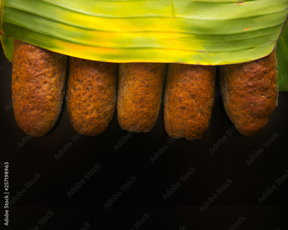 Mulmul Ethiopian Bread Stock Photo | Adobe Stock