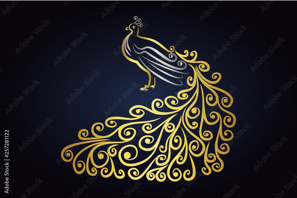 peacock isolated on dark background. Vector Peafowl bird with feathers ...