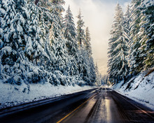 Winter Road In Oregon Free Stock Photo - Public Domain Pictures