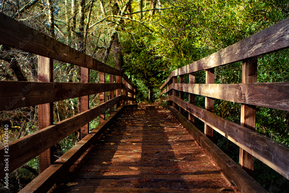 Bridge path walkway travel explorer hike adventure running boardwalk ...