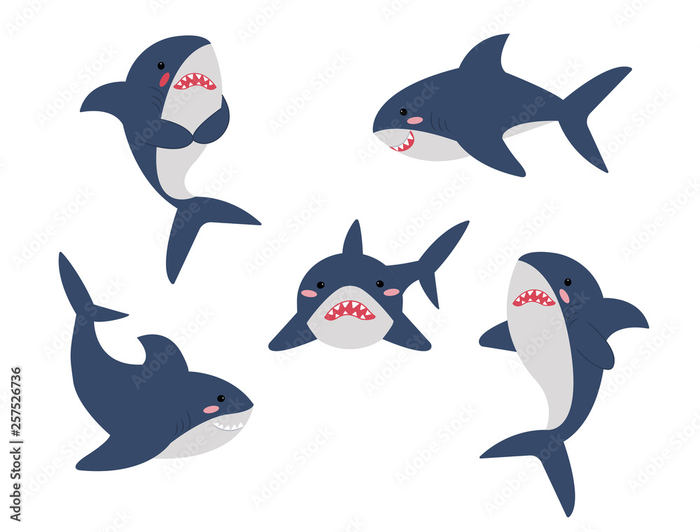 Cartoon sharks in different poses collection set. Isolated vector ...