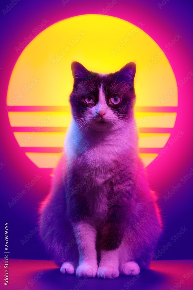 Retrowave synthwave portrait of a cat in 90s retro aesthetics style ...