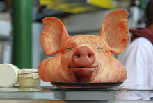 Pig Head Free Stock Photo - Public Domain Pictures