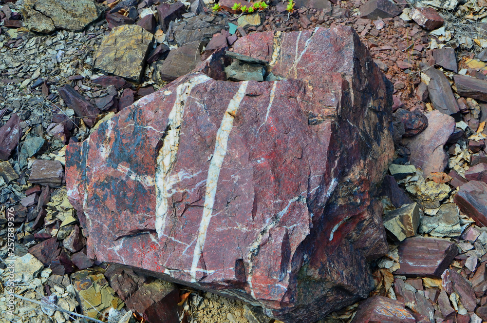 Ural mountains are rich in minerals. Here are concentrated the largest ...