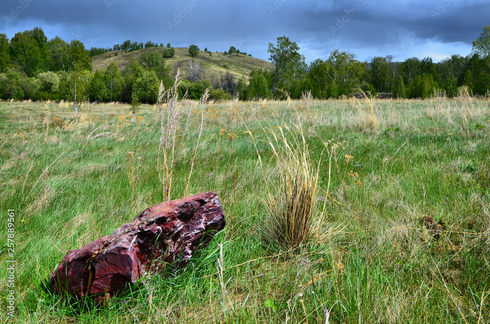 Ural mountains are rich in minerals. Here are concentrated the largest ...