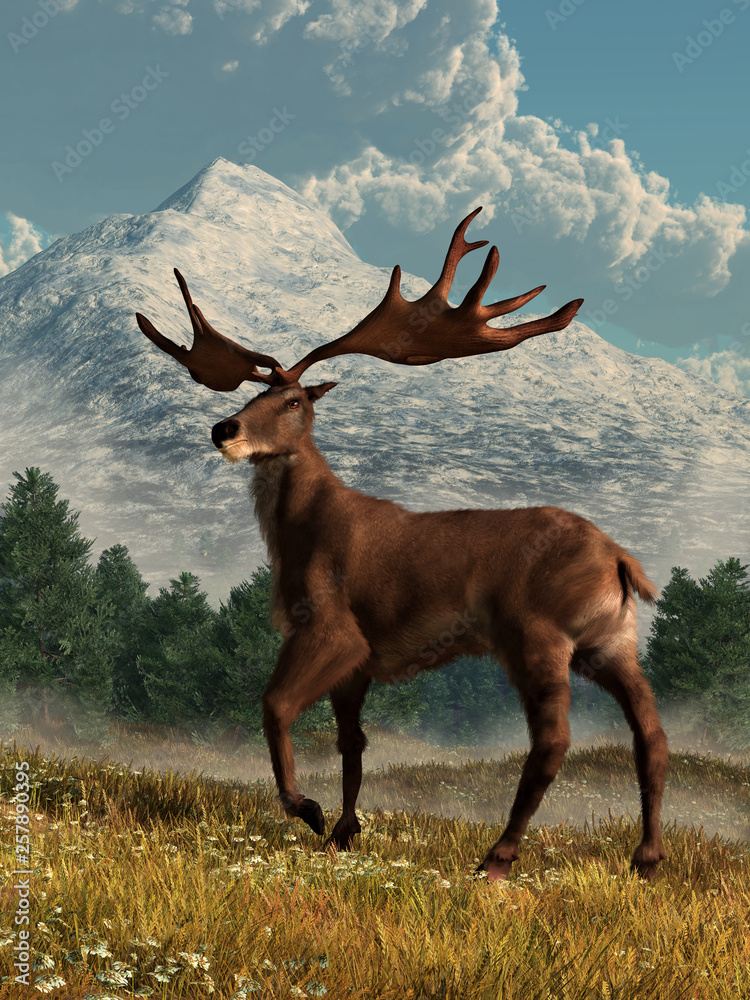 An Irish Elk, a breed of extinct pleistocene deer, stands in tall grass ...