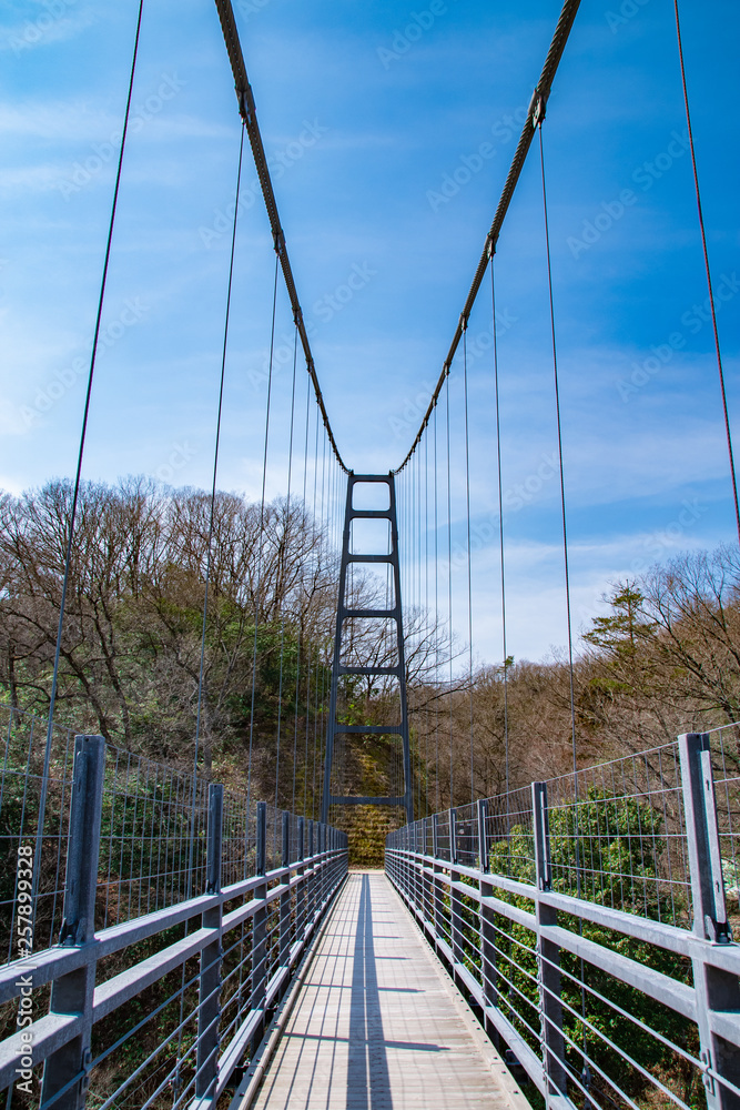鬼の舌震 恋吊橋 The suspension bridge called "Koi-Tsuribashi" at Oni-no ...