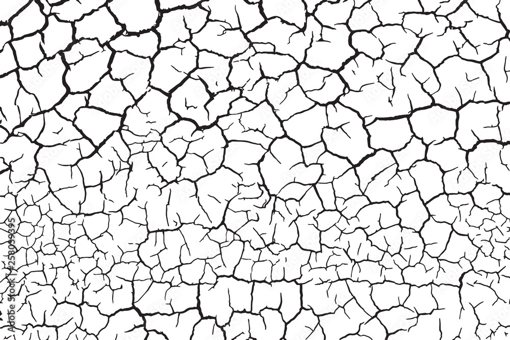 The cracks texture white and black. Vector background.Cracked earth ...