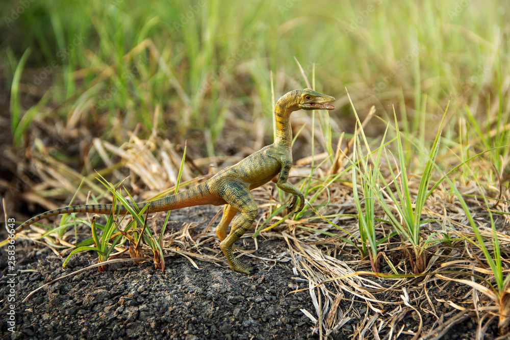 Foto de Stock Compsognathus or Compy is dinosaur theropod carnivorous ...
