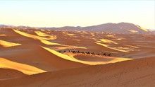 Camel Train Desert Sunset Free Stock Photo - Public Domain Pictures