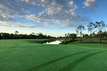 Golf Cart Path On Course Free Stock Photo - Public Domain Pictures