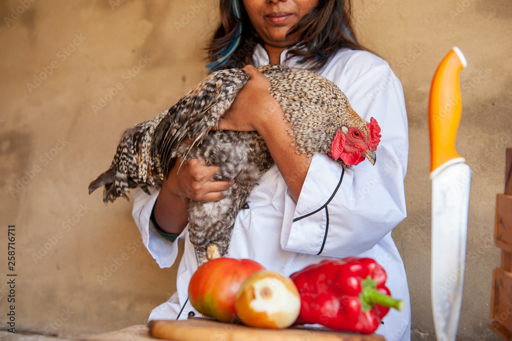 Attractive Indian woman cook posing in kitchen with chicken in her ...
