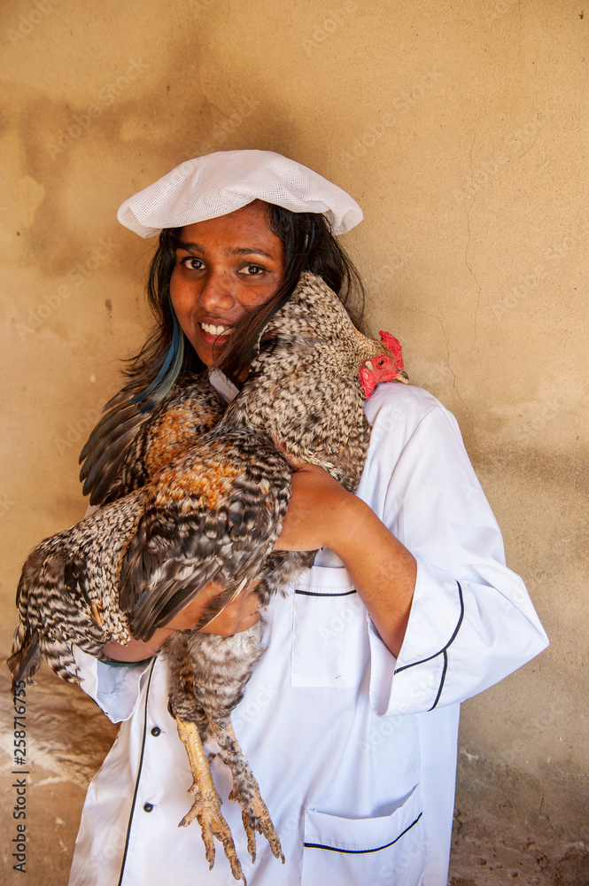 Attractive Indian woman cook posing in kitchen with chicken in her ...
