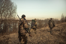 Hunting Scene Free Stock Photo - Public Domain Pictures