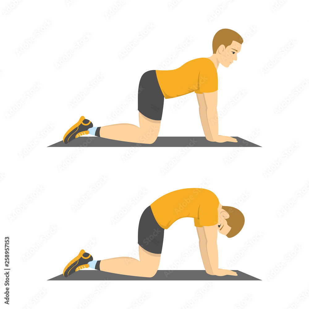 Man doing cat cow exercise. Back stretch Stock Vector | Adobe Stock