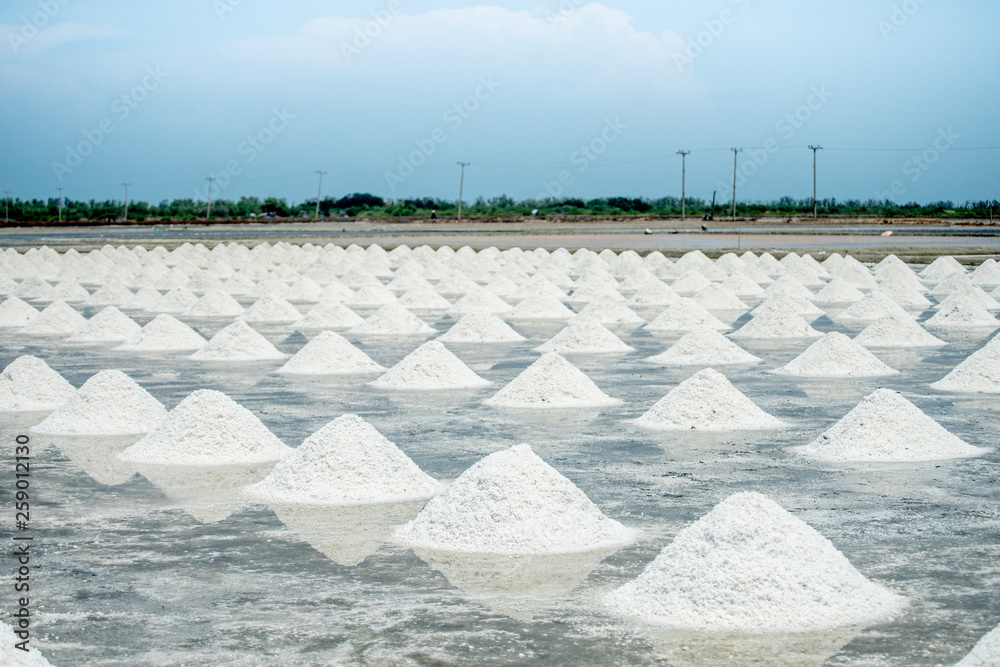 salt at old style Central Thai scenes of salt farms in Bang Tabun ...
