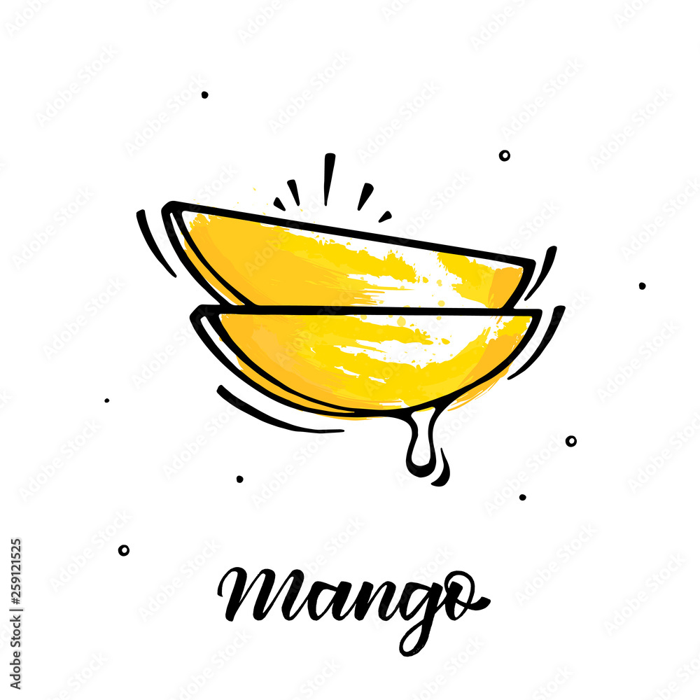 Mango pieces exotic fruit illustration in sketch style. Isolated vector ...