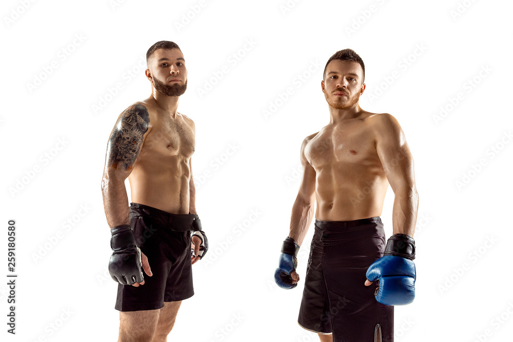 Two professional boxers boxing isolated on white studio background ...