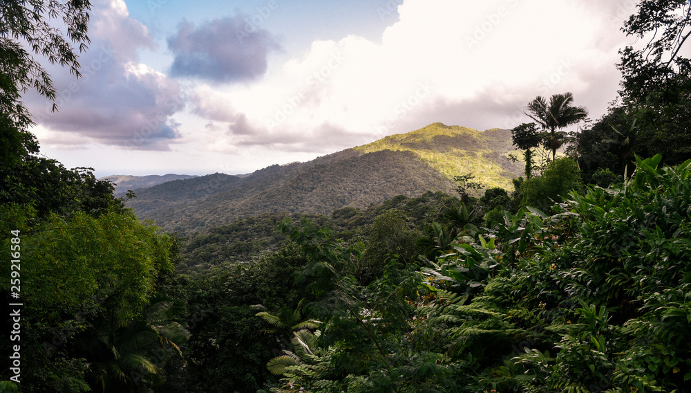 View from El Yunque Peak in El Yunque National Forest in Puerto Rico ...