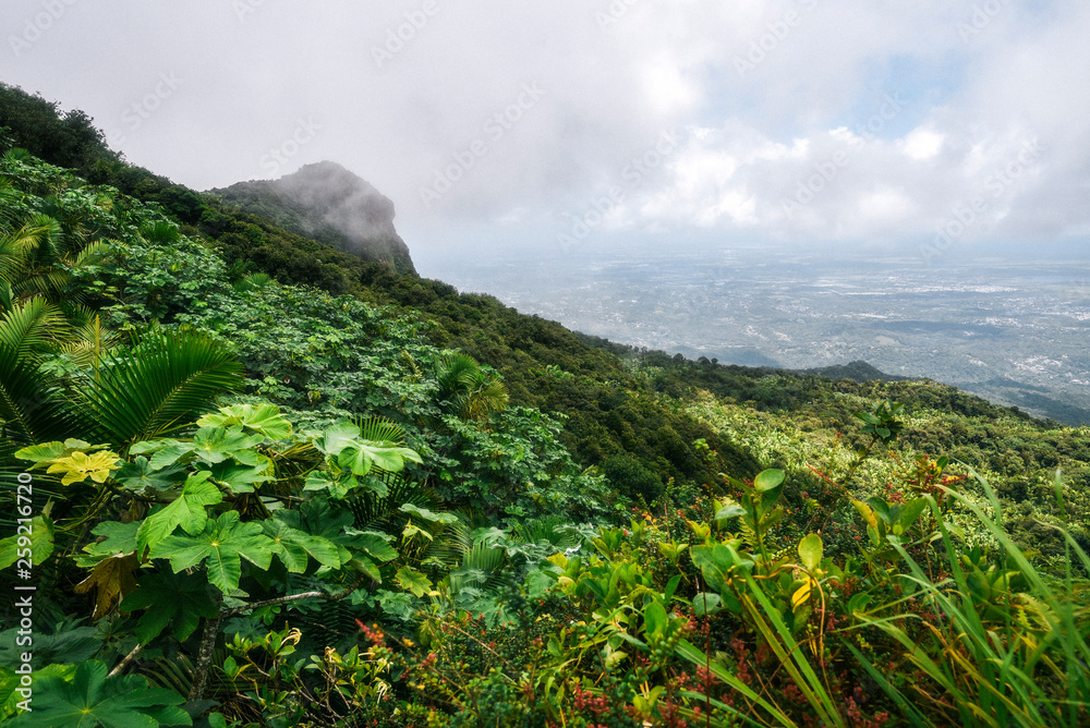 View from El Yunque Peak in El Yunque National Forest in Puerto Rico 스톡 ...