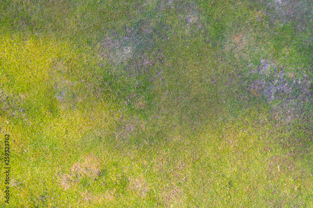 Aerial top view of Natural grass texture Stock Photo | Adobe Stock